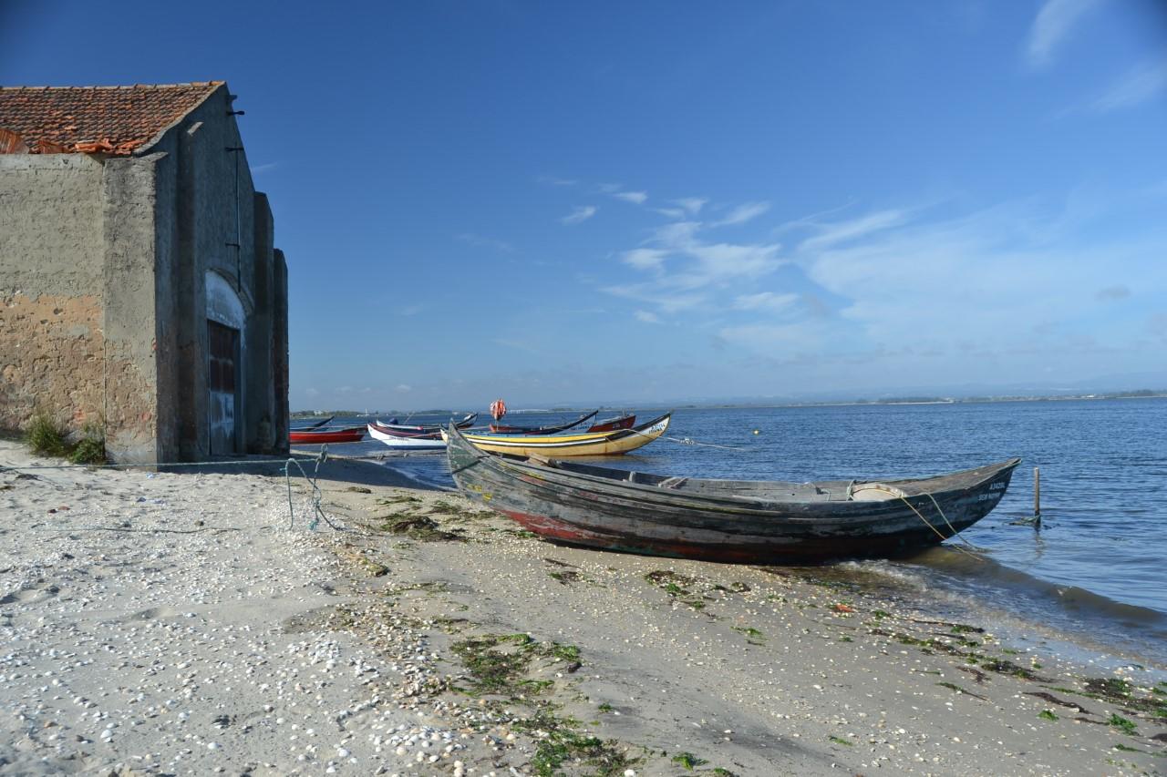 Aveiro Private Tour From Porto | Overtime Tours